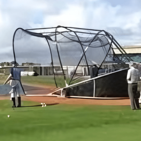 Big Bubba Batting Cage Portable Backstop | 5 Yr Warranty!